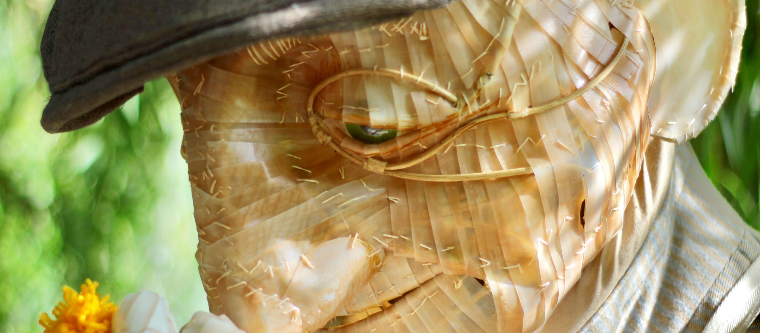 Walk of the Dandelion Creation Phase - Crying Out Loud